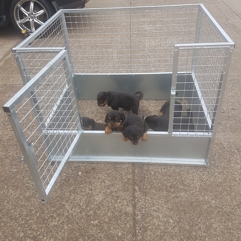 Bespoke Dog Runs, Animal Cages & Shelters | Custom-Made UK Manufactured ...