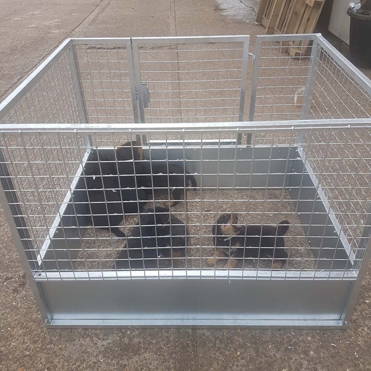 Bespoke Dog Runs, Animal Cages & Shelters | Custom-Made UK Manufactured ...